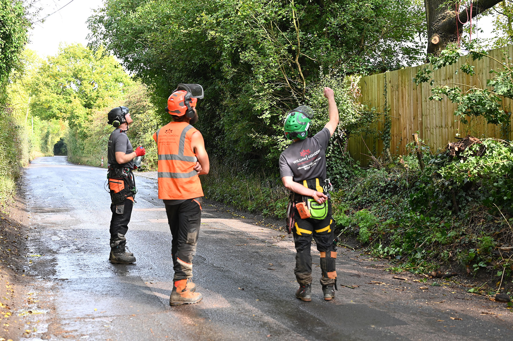 Why Visual Tree Assessments are essential for tree safety! - WGCS Tree ...