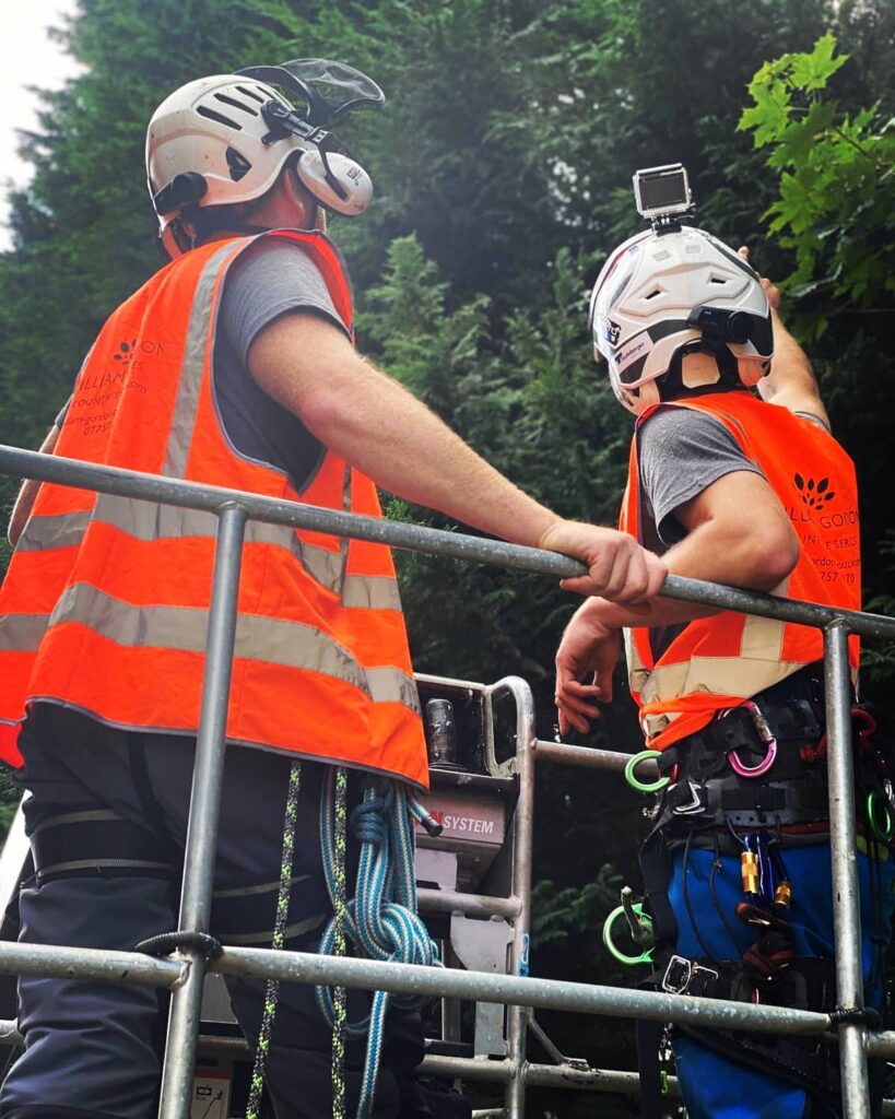 Why Visual Tree Assessments are essential for tree safety! - WGCS Tree ...